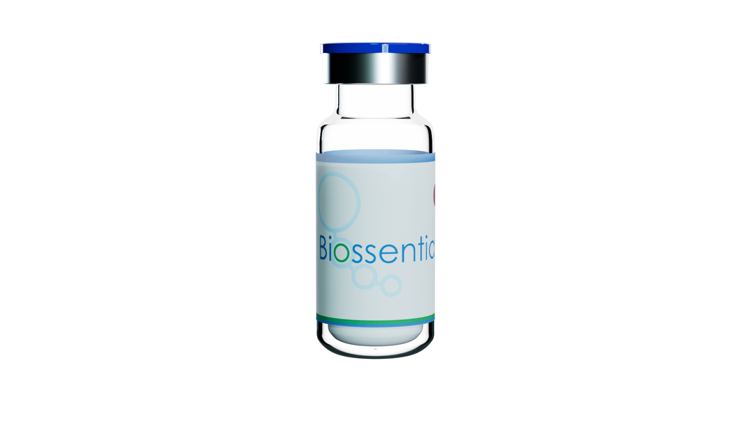 Regene Global – Grupo Medico Ruisseau